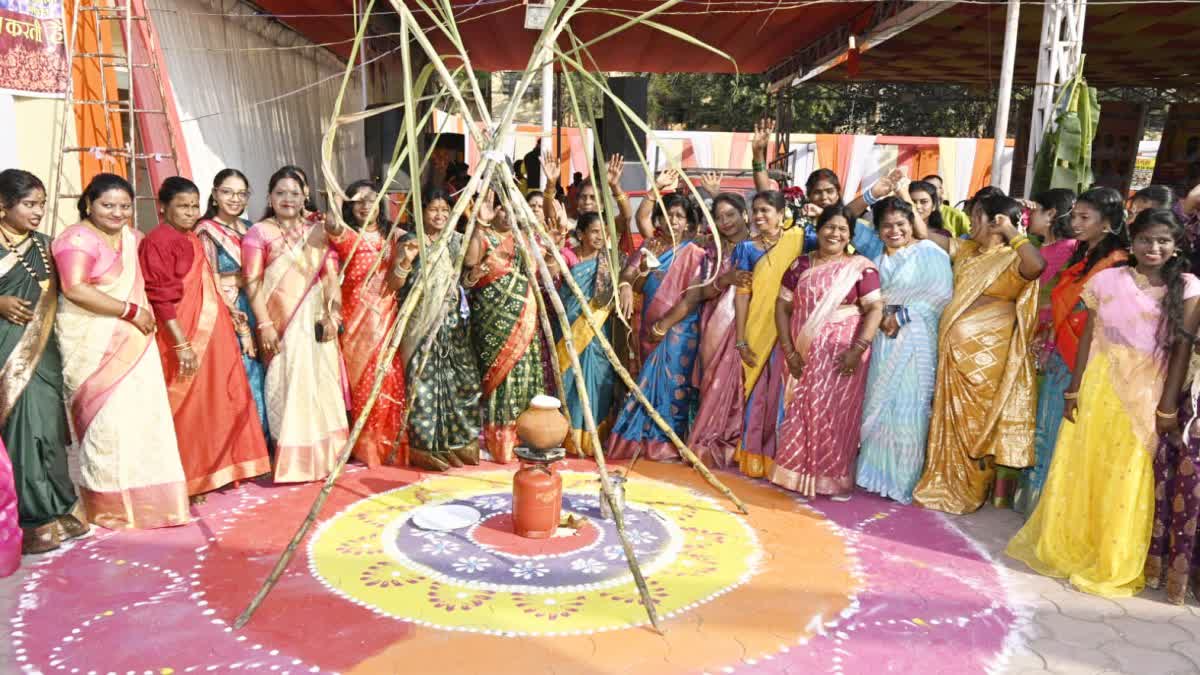 जबलपुर में पोंगल पर्व का आवाज, पारंपरिक धोती-कुर्ता पहन गानों के बीच ...