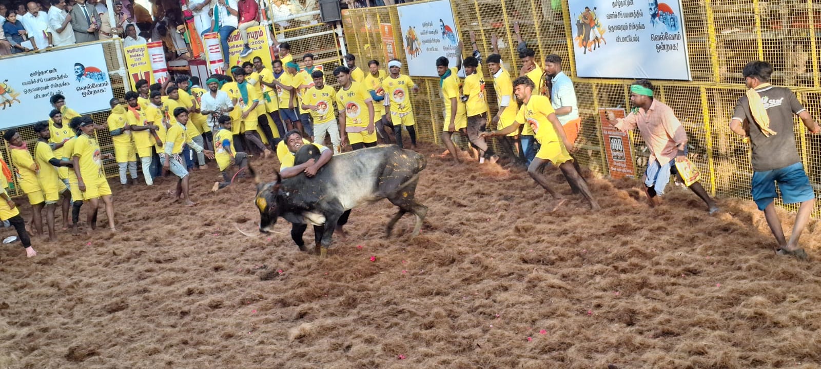 Bulls Roar At Vaadivasal As Jallikattu Begins In Madurai's Avaniyapuram ...