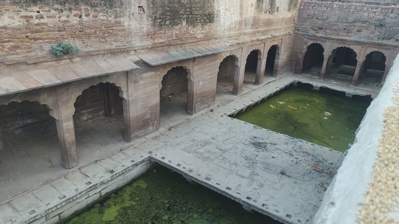 77 की उम्र में विदेशी कैरोन कर रहे प्राचीन बावड़ियों की सफाई, पागल साब ...