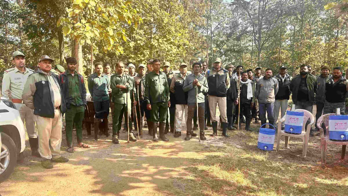 Rajasthan Gears Up For First Inter-State Tiger Translocation