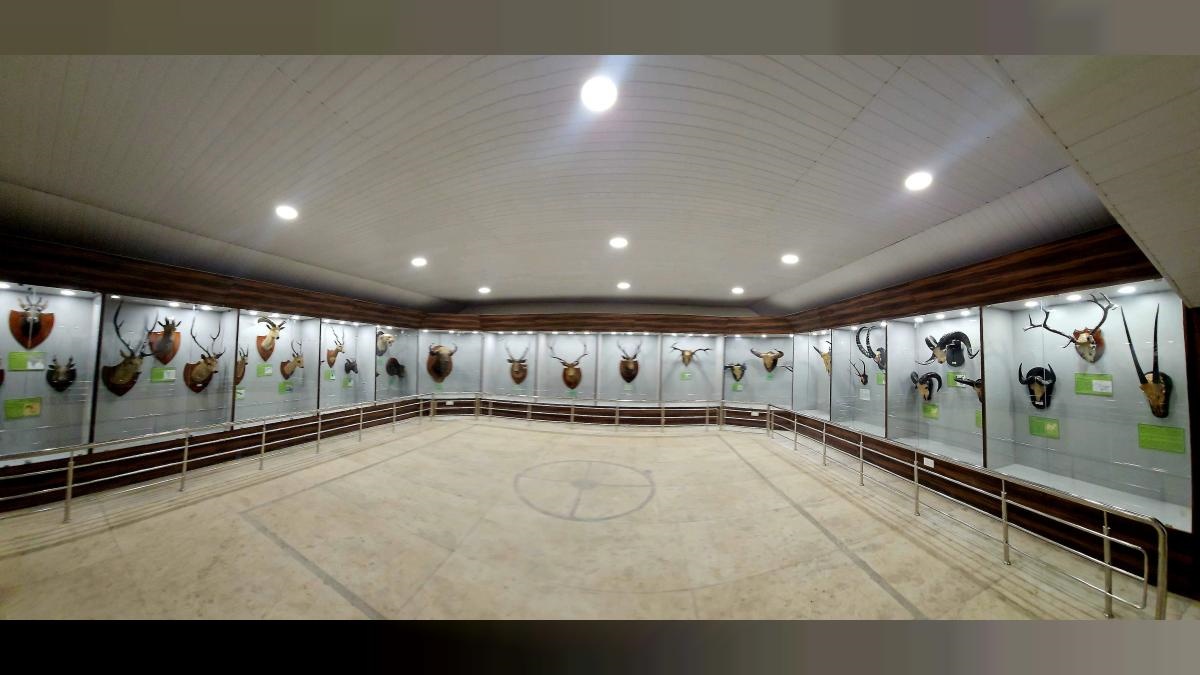 Darjeeling Zoo Gets Country's First Bio-Banking And Animal Museum