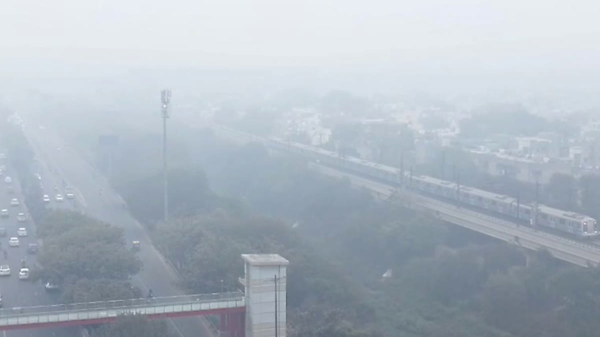 Foggy Mornings, Freezing Nights Trouble Delhi-NCR; Train And Flight ...