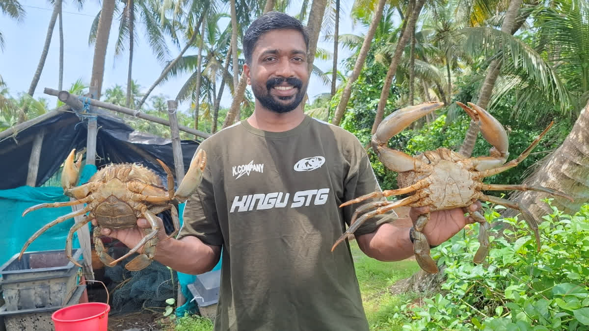 For This Farmer In Kasaragod, Crab Farming Is A Premium Business