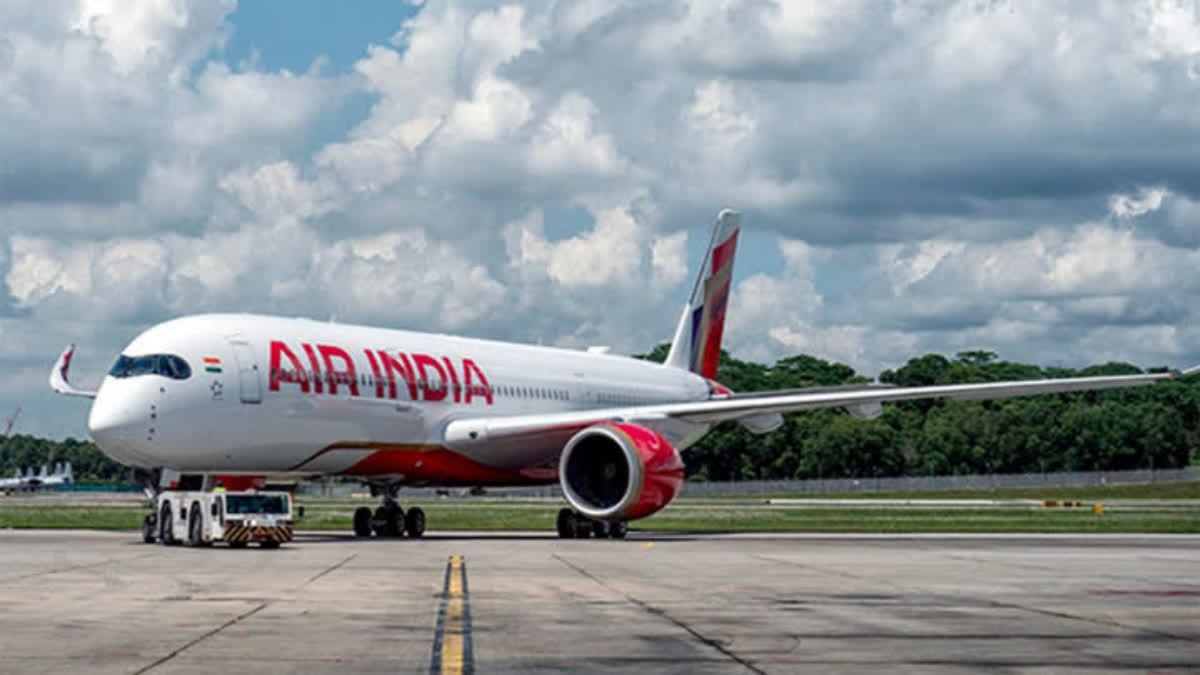 Air India Flight From Delhi Hits Bird During Landing At Raipur Airport ...