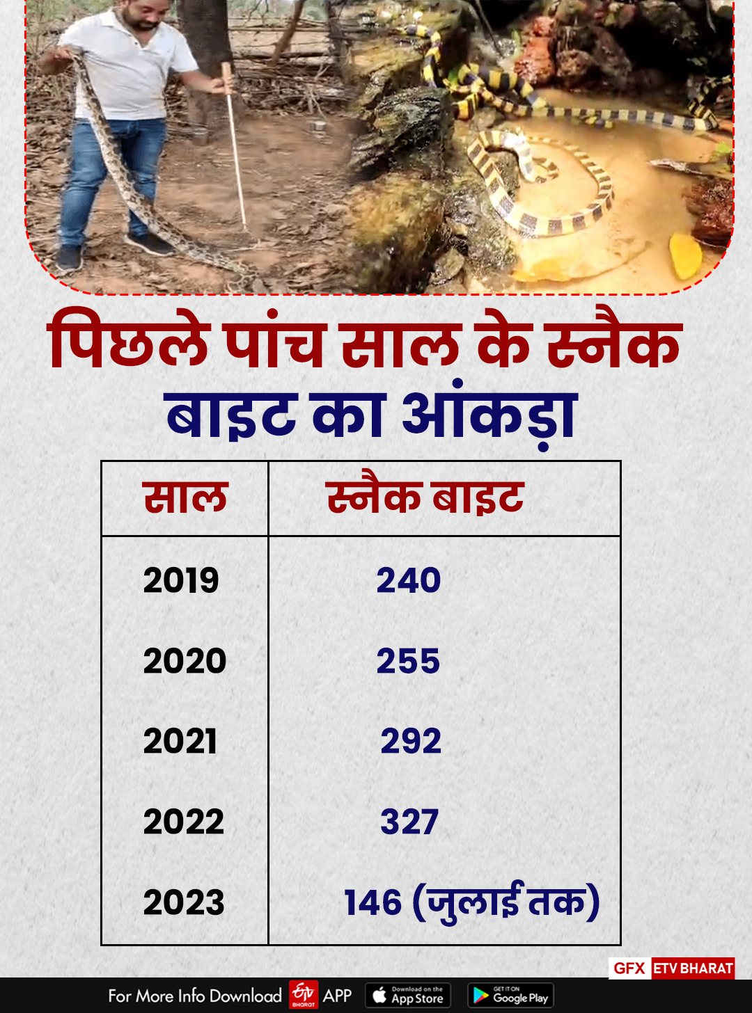 Naglok Of Chhattisgarh : छत्तीसगढ़ का नागलोक बना कोरबा, 25 से अधिक ...