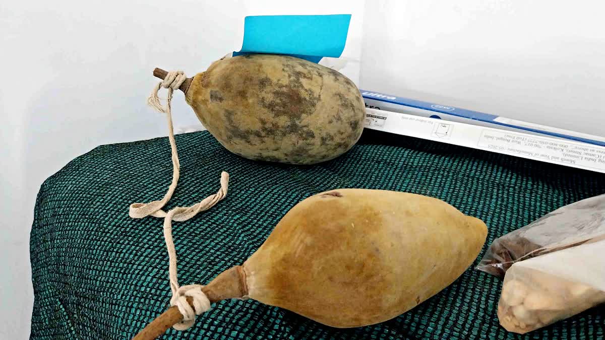 Brought To India By Alauddin Khilji, Khorasani Tamarind Gets New Boost ...