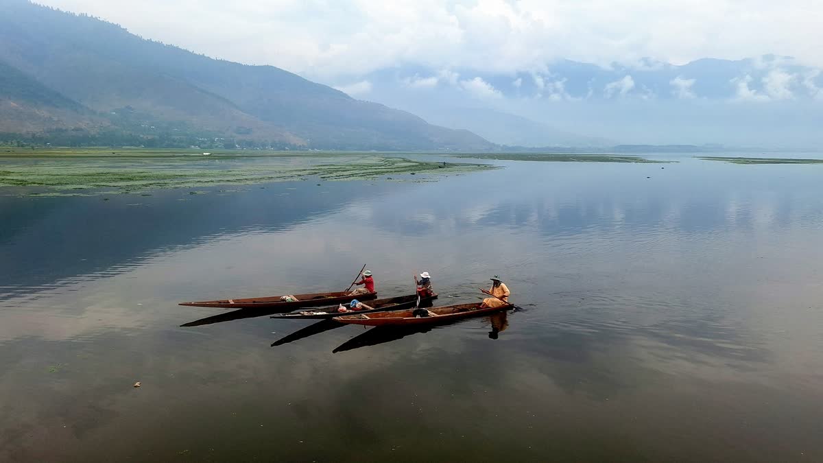 Kashmir's Iconic Wular Lake Reopens For Tourists After 10 Months ...