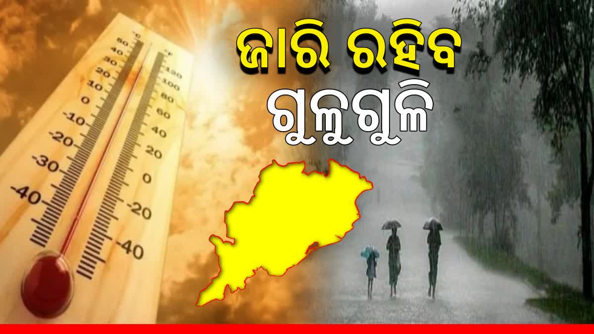 ରାଜ୍ୟରେ ଜାରି ରହିଛି ବର୍ଷା, ହେଲେ ମିଳିବନି ଗୁଳୁଗୁଳିରୁ ଆଶ୍ବସ୍ତି - Odisha ...