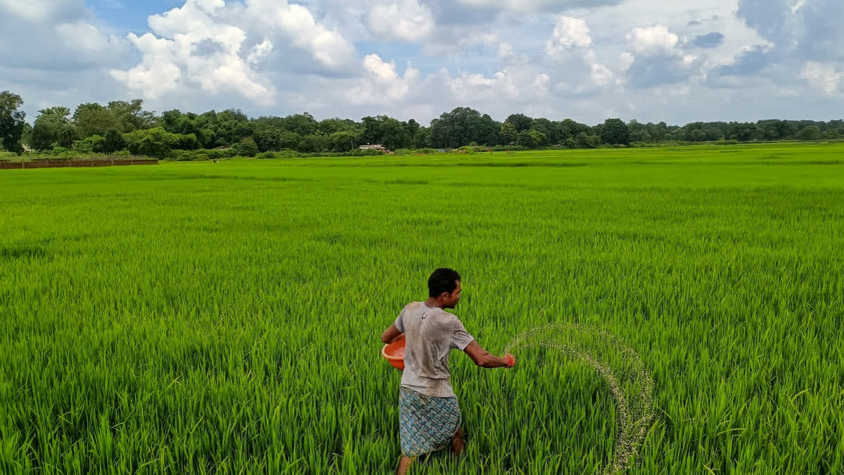 Centre Emphasises Crop Diversification For A Sustainable Agricultural ...