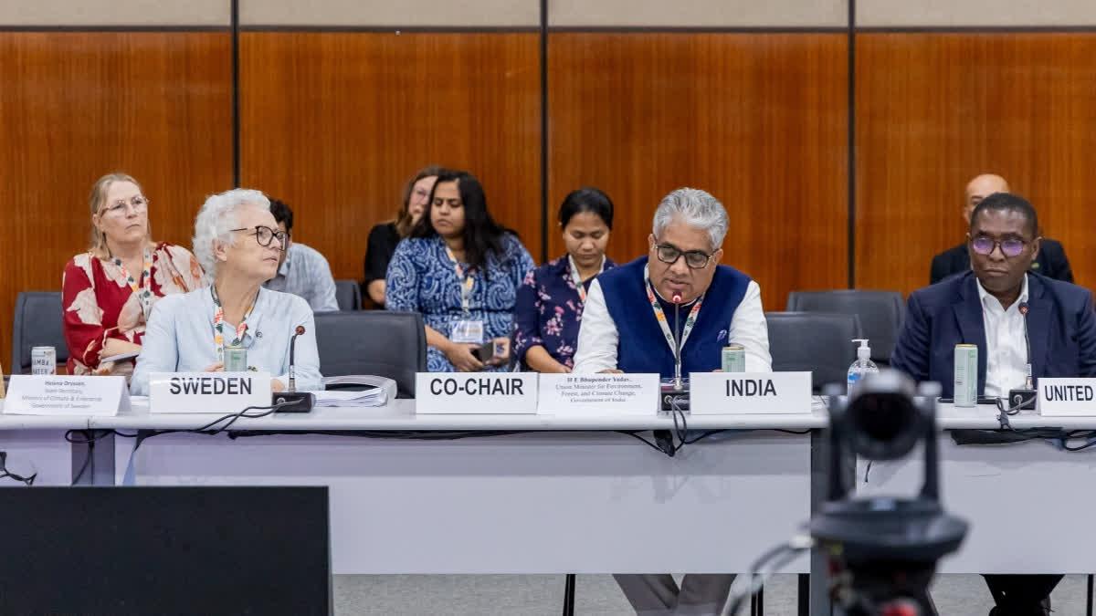 India To Host Global Big Cats Summit In 2026: Bhupender Yadav