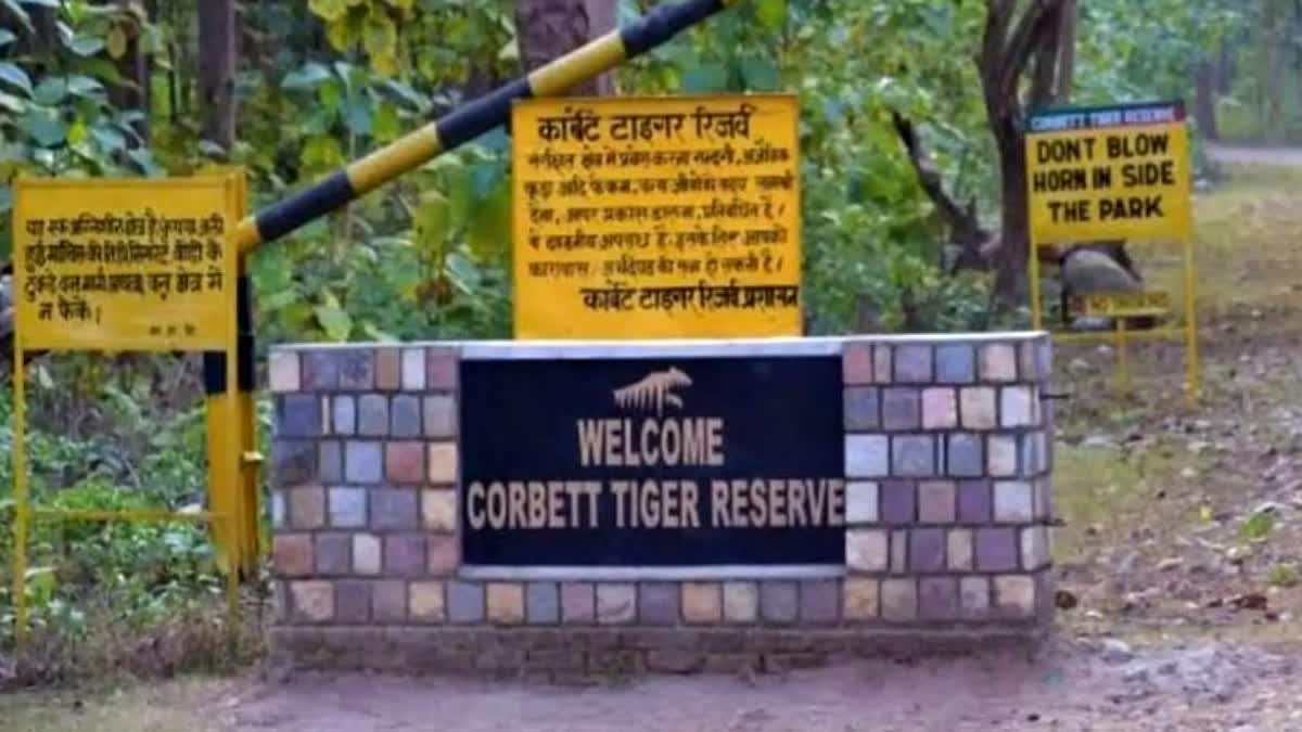 Uttarakhand HC Seeks Report On Gypsy Operators In Jim Corbett National Park