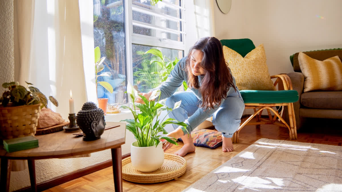 Your Home Has A Small Living Room? Here Are Smart Sofa And Furniture ...