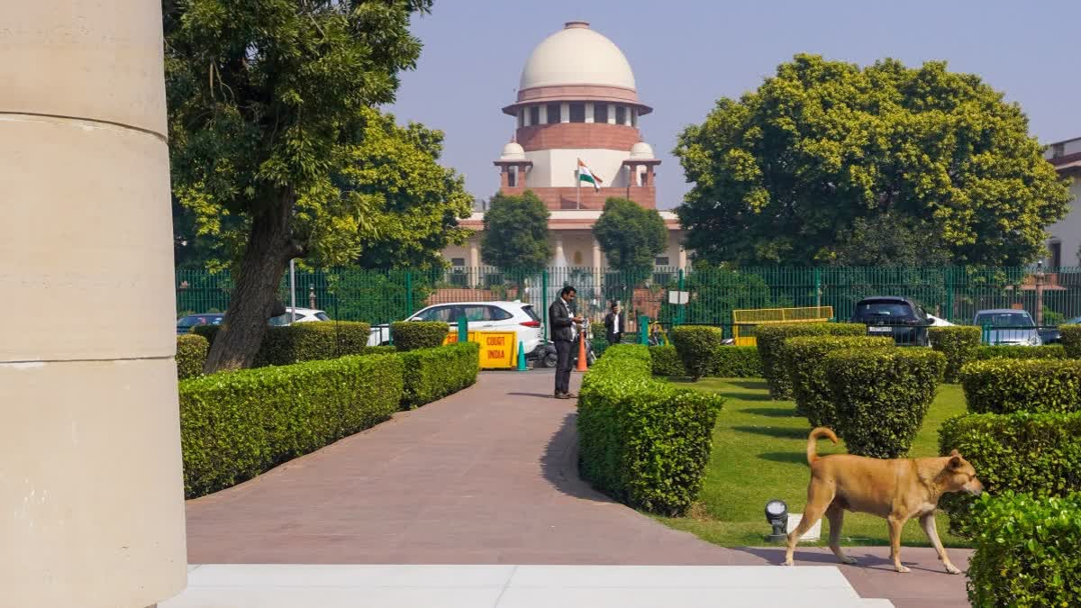 SC Puts On Hold Madras HC Order Transferring Probe In Armstrong Murder ...