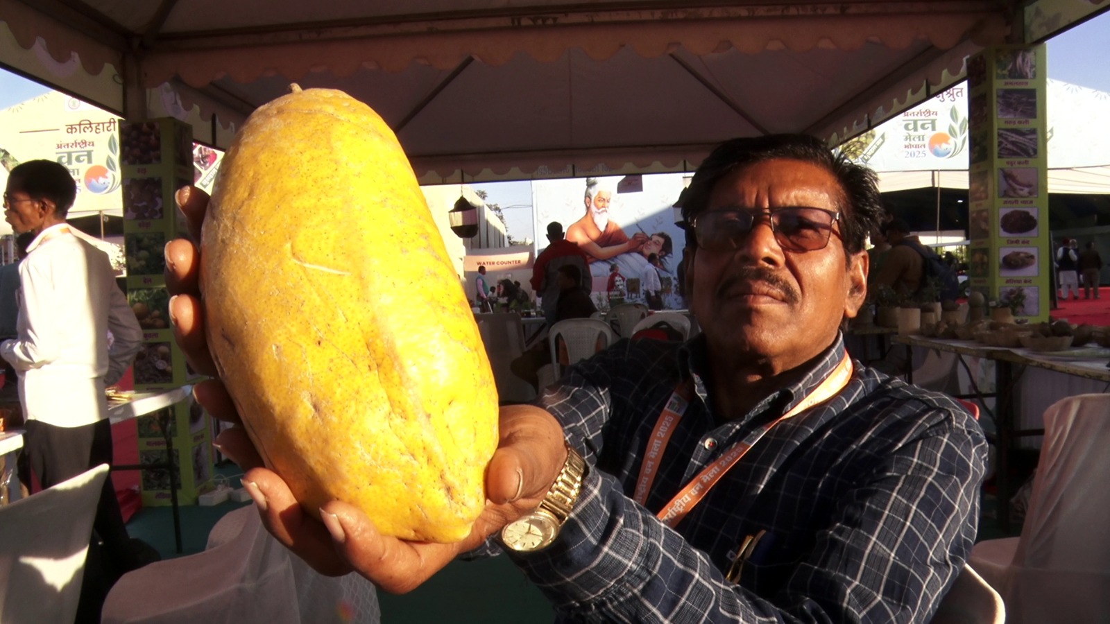 Five-Feet-Long, 7 KG Bottle Gourd, 1.5 KG Lemon: Giant Vegetables Steal ...
