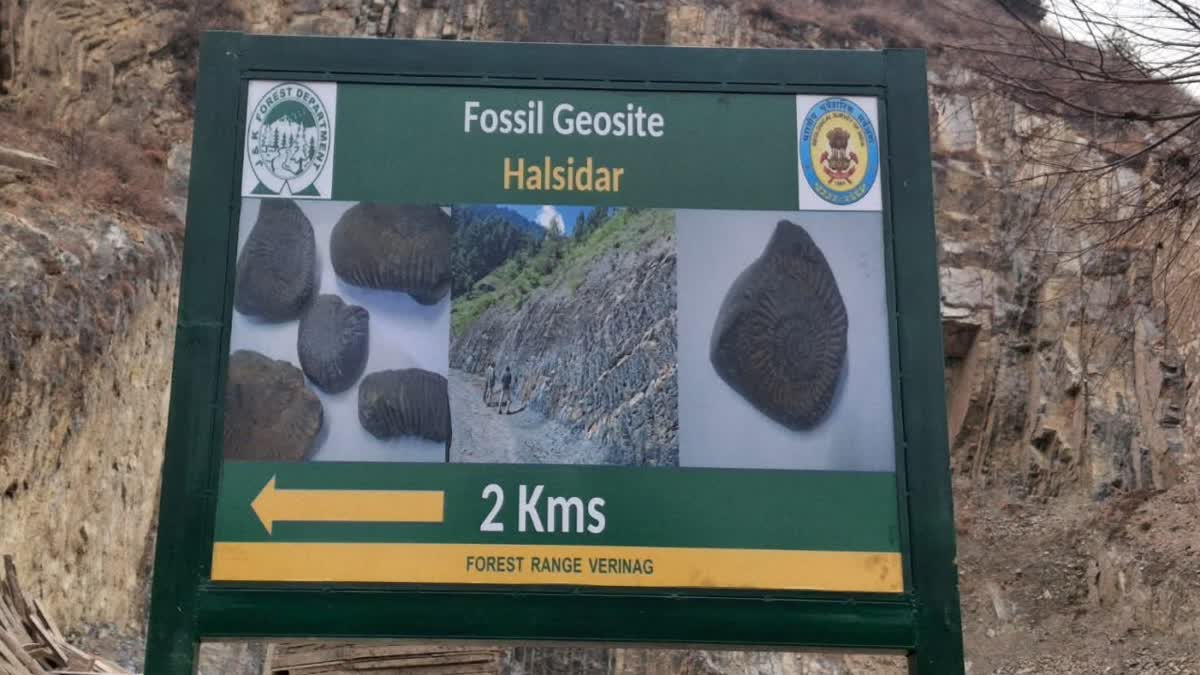 کشمیر: 260ملین سال قدیم فوسل سائٹس کو محفوظ بنانے کا عمل شروع
