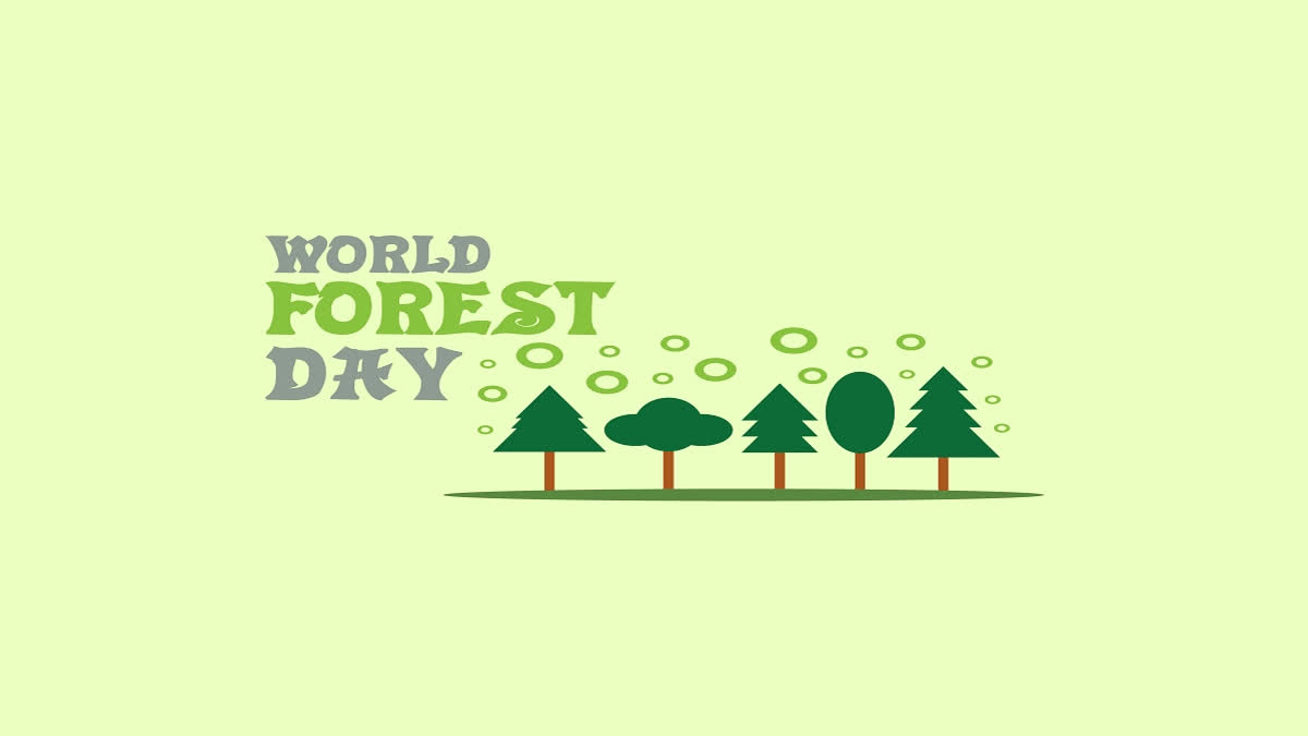 World Forest Day 2024 | Jungles and Innovation: New Solutions for a ...