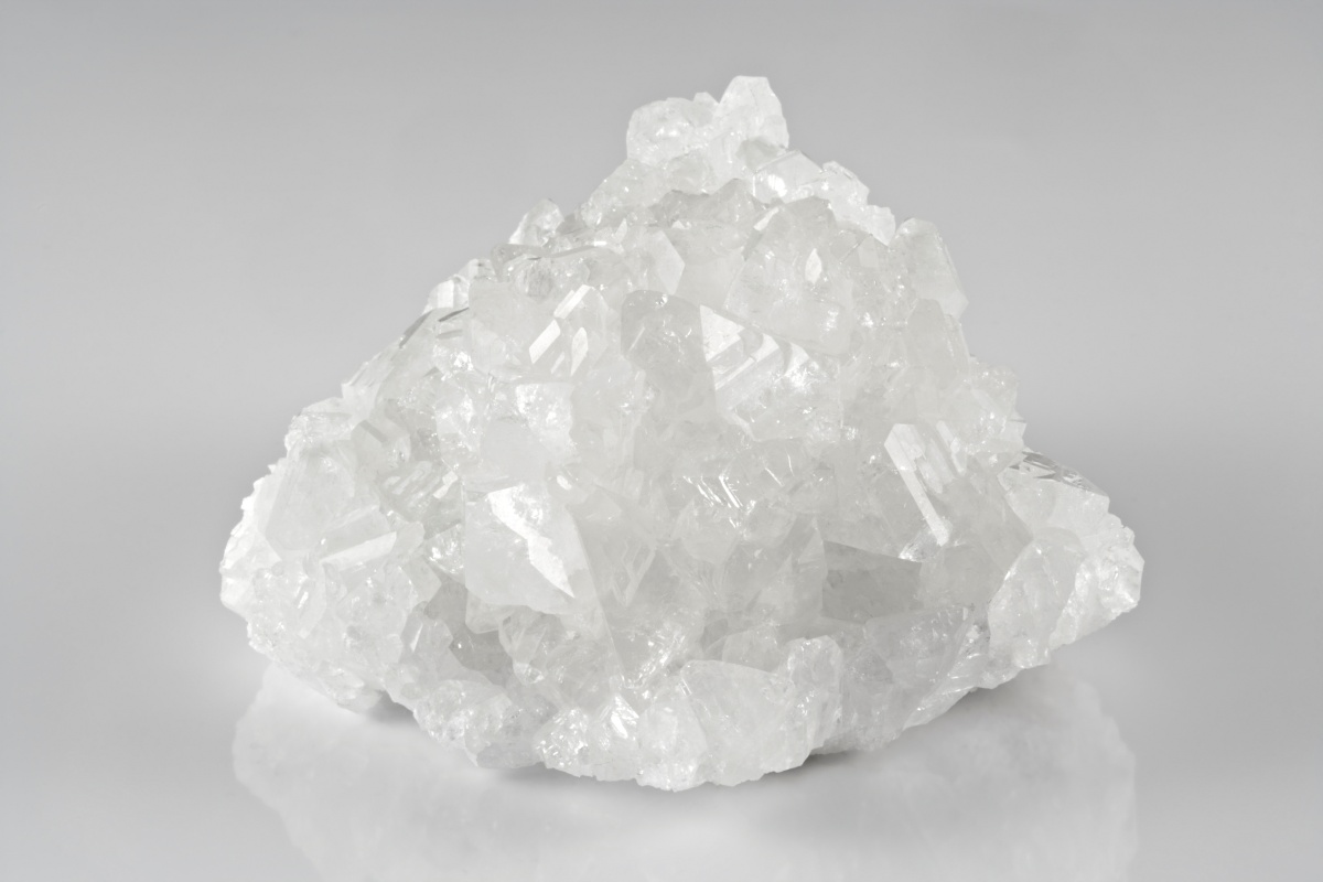 Consumed In The Name Of Weight Loss: The Borax Lie That Ended A Young ...