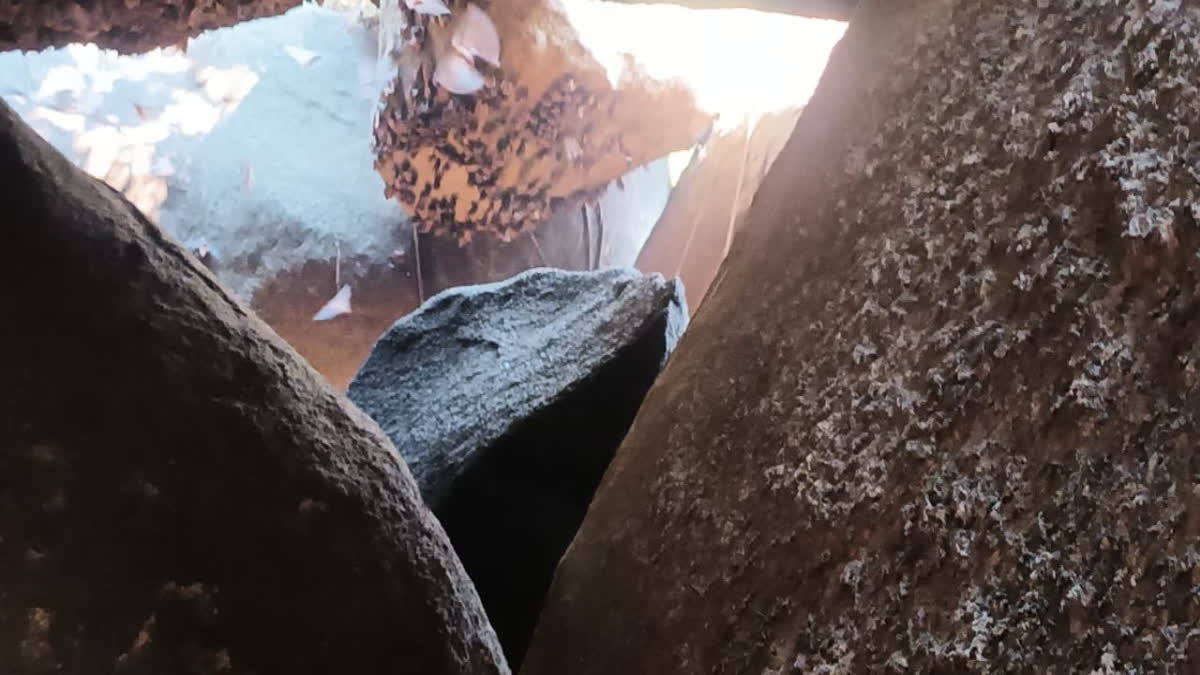 Baduli Khurung, Assam’s Mysterious Bat Cave All Set To Celebrate A 25 ...