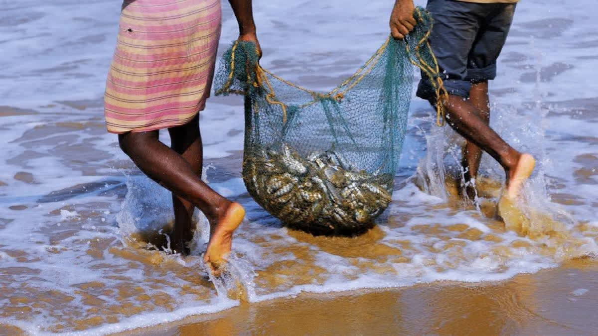 Draft Guidelines Soon For Fishing In Exclusive Economic Zones And High Seas