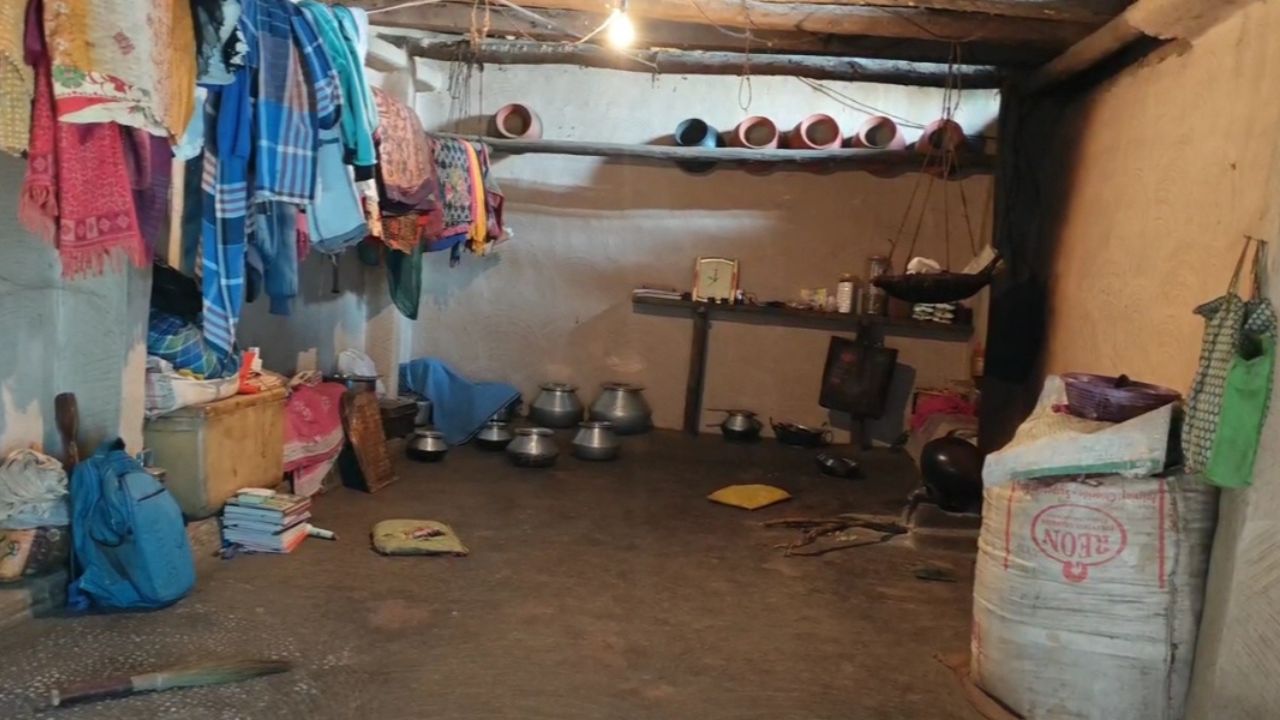 A Drinking Party With Cows And Bulls On Diwali: Chhattisgarh Tribals ...