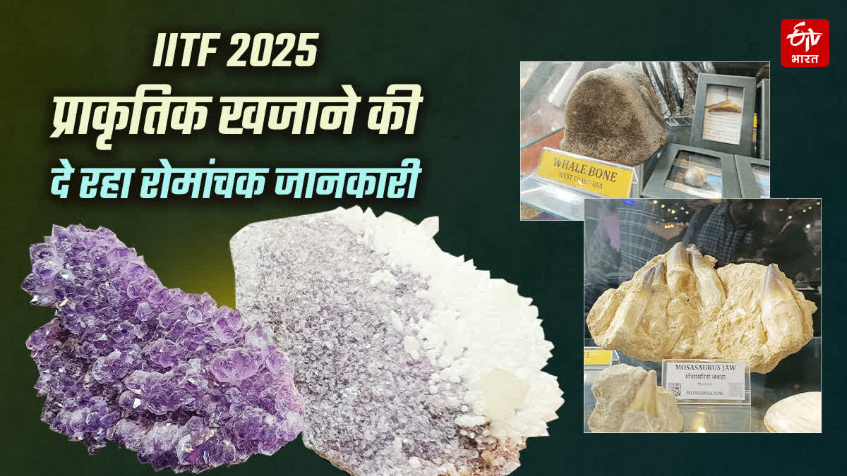 IITF 2025 में अनोखा पवेलियन: धरती के खजाने से लेकर आकाशीय उल्कापिंड की ...
