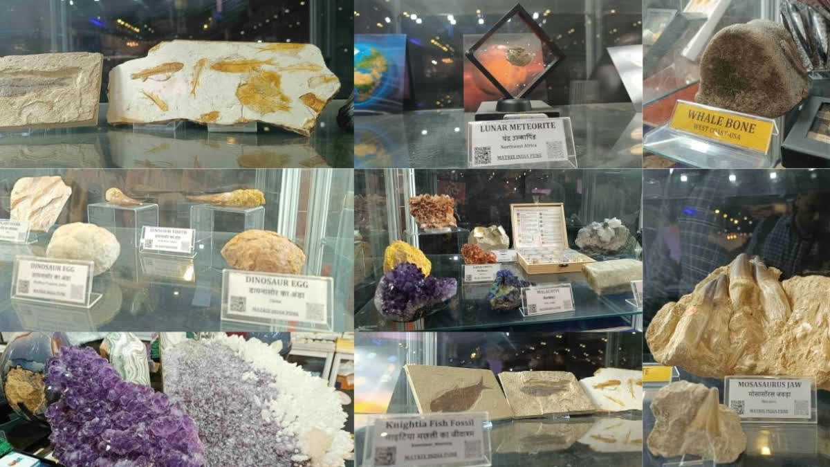 From Dino Fossils To Meteorites: Mines Pavilion Becomes IITF’s Biggest ...