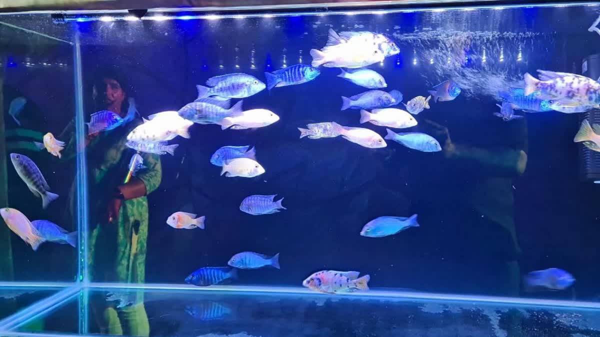 Bengaluru Fish Fair Opens To Public With Exhibits, Discussions And Food ...