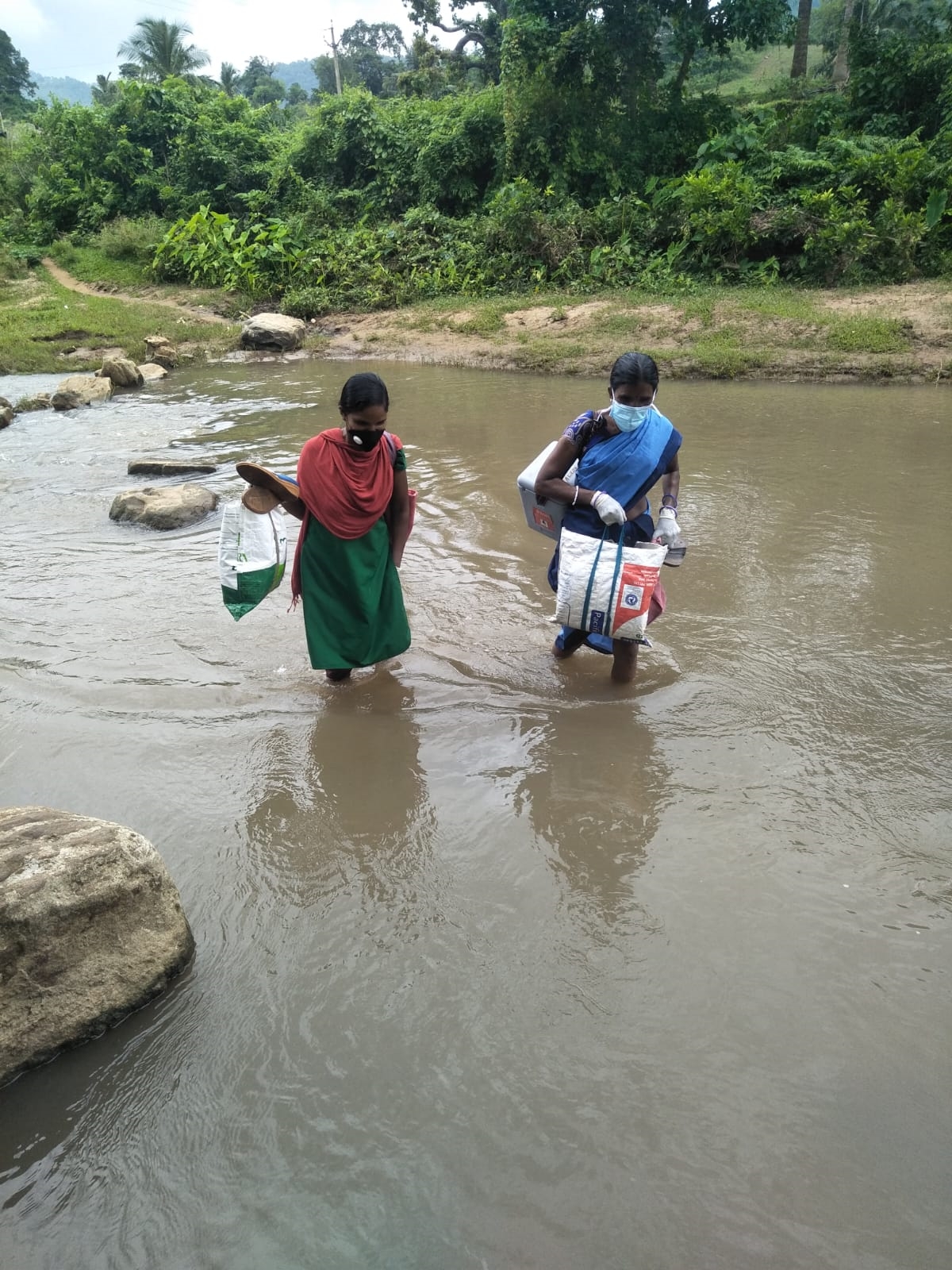 Walking Through Koraput Forests, ASHA K Narsama Leads A Revolution In ...