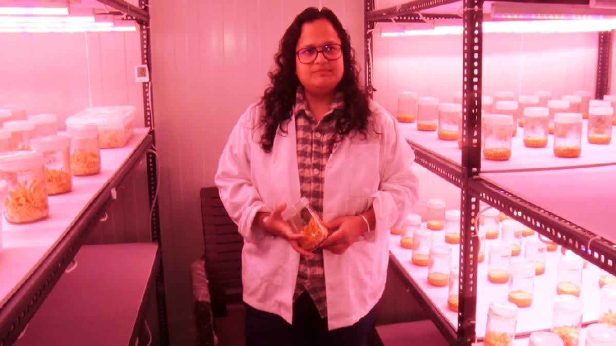 A 'Himalayan Gold' In Bhopal: How Entrepreneur Devika Singh Grows High ...