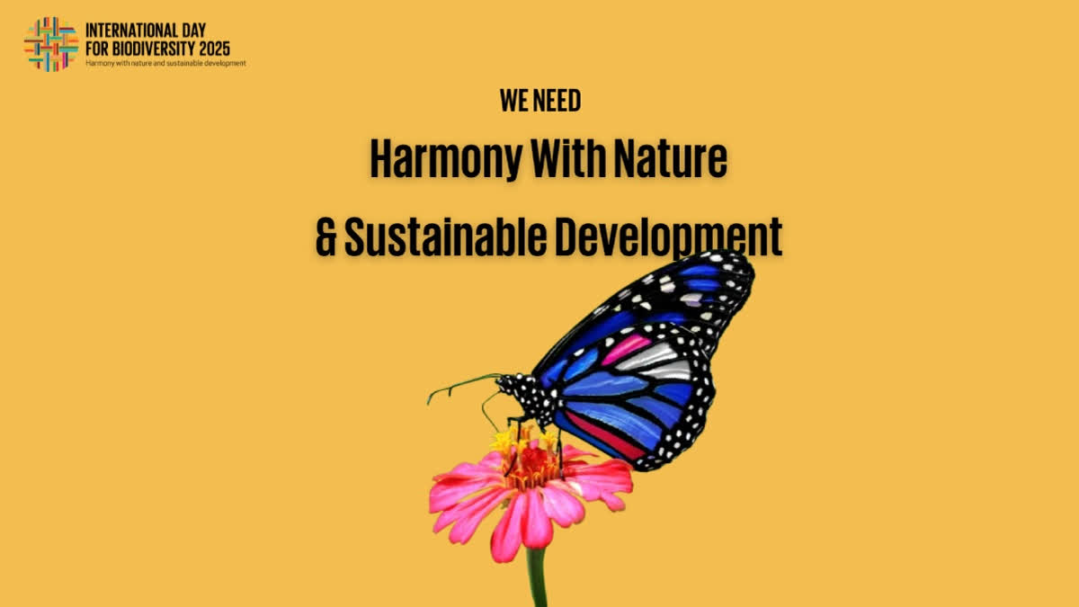 World Biodiversity Day | Harmony With Nature – The Theme And Beyond