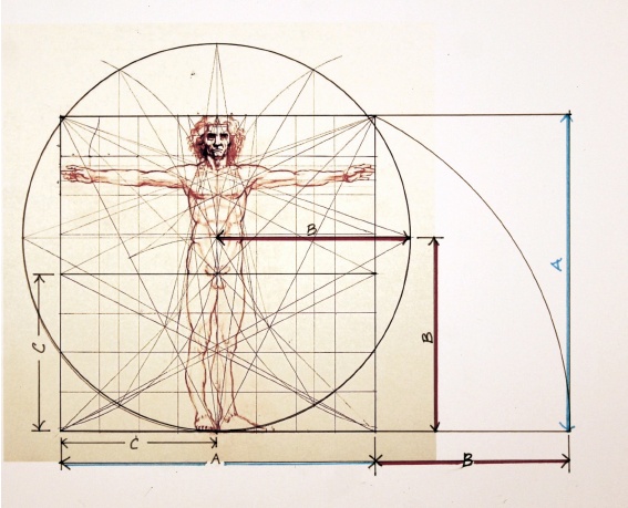 Fibonacci Day: The Golden Ratio Is Art’s Best-Kept Secret
