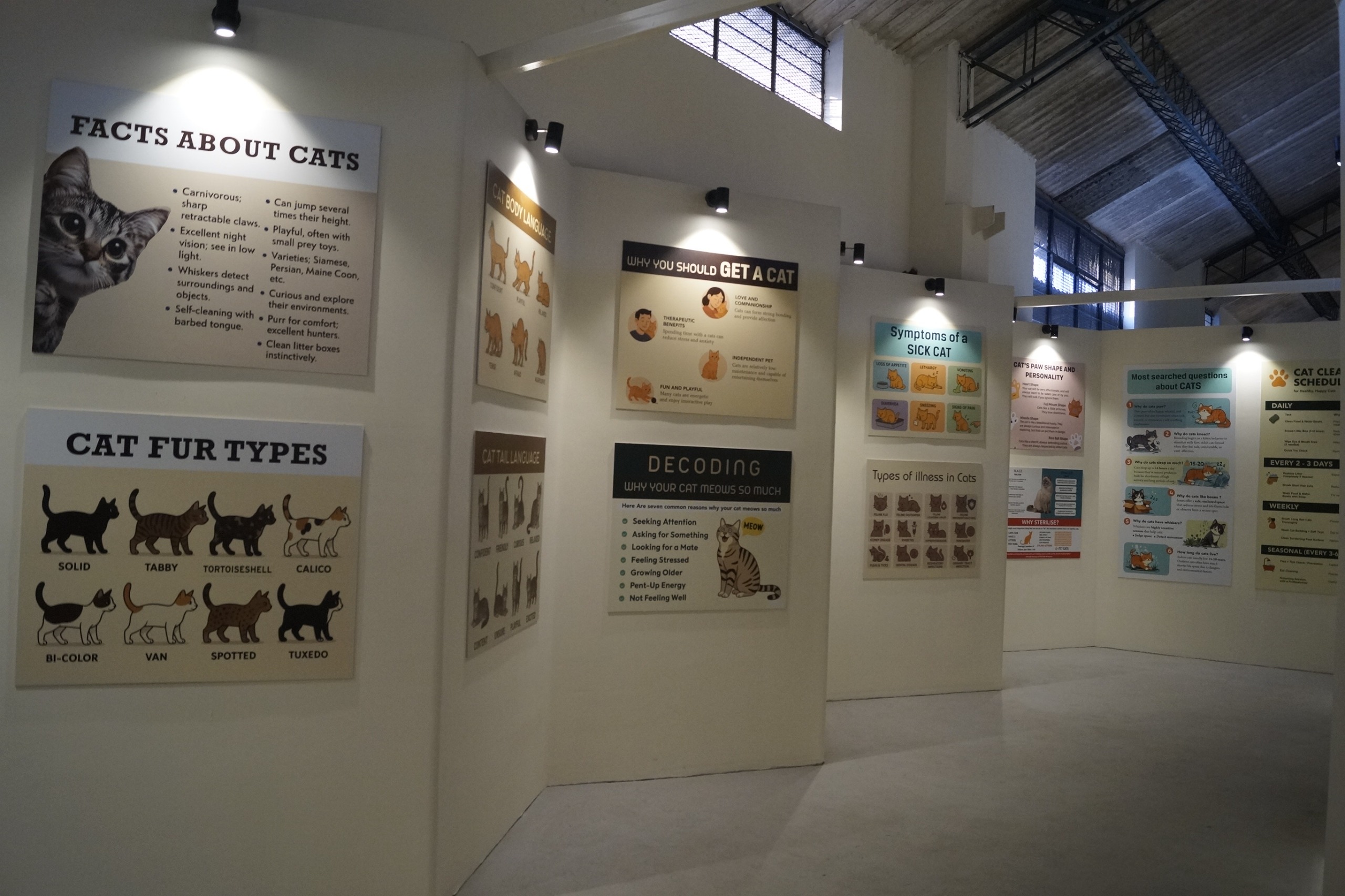 India's First Cat Museum Opens In Mysuru To Educate Visitors Pet Care