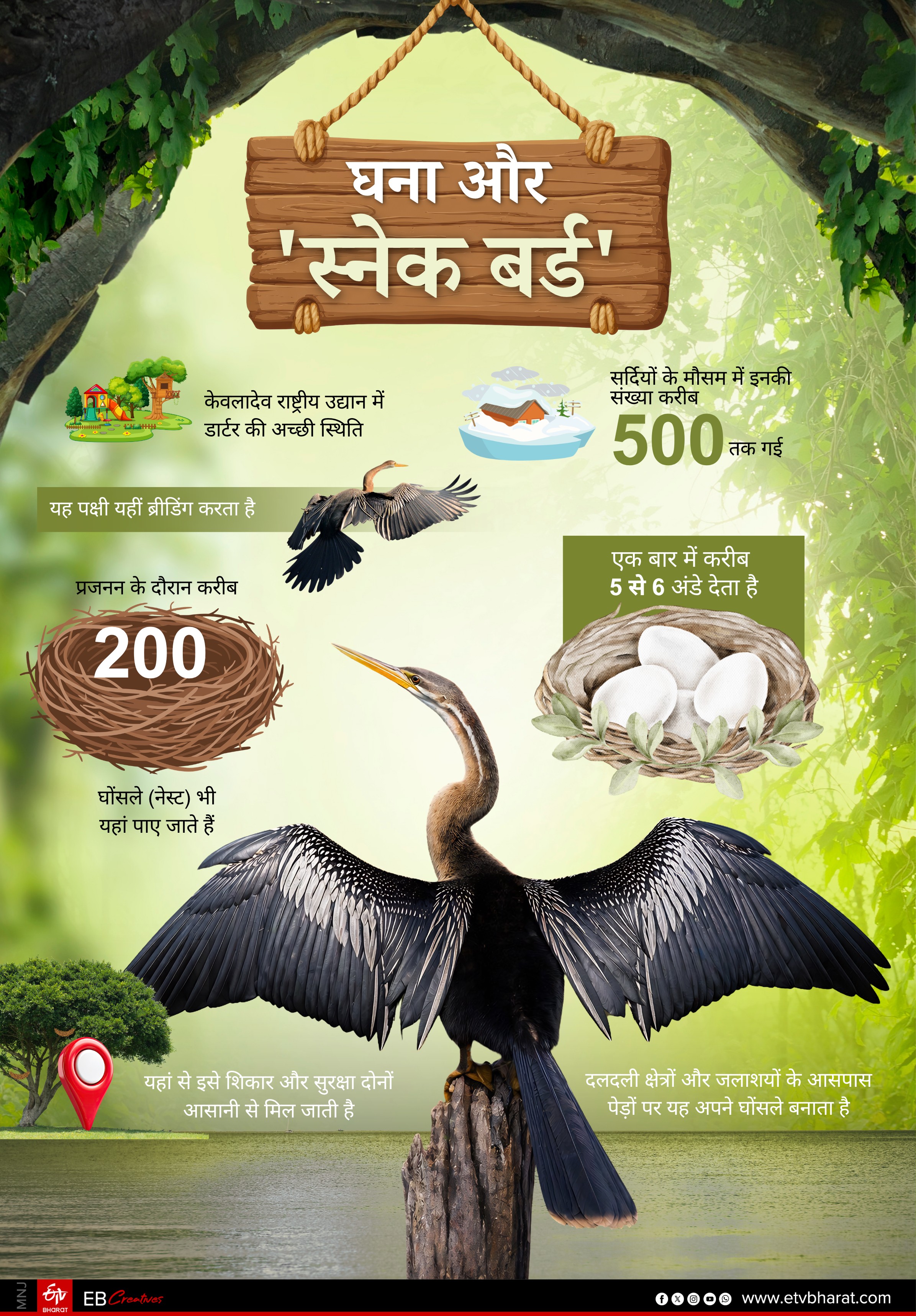 सांप जैसी गर्दन, पानी में करता शिकार, ऐसा है घना के रहस्यमयी 'स्नेक ...