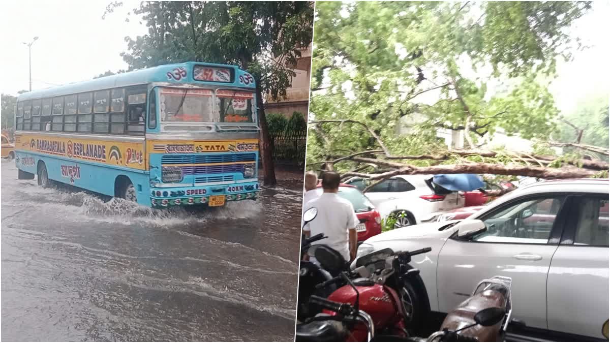 কলকাতায় প্রবল ঝড়-বৃষ্টি, লাগাতার বজ্রপাত! ভাঙল বহু গাছ, কমলা সতর্কতা ...