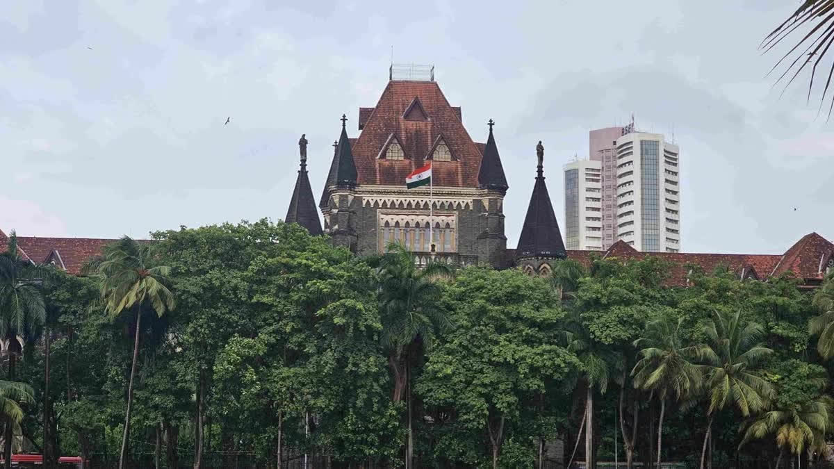 Bombay HC Refuses To Stop Construction Work; Asks BMC To Take Urgent ...