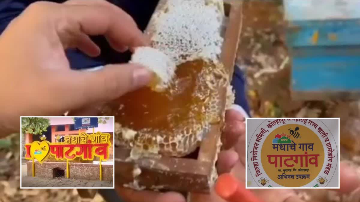 Kolhapur's Honey Village Finds Its Way Into Maharashtra Textbooks