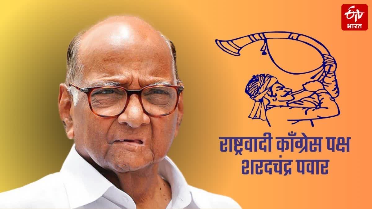 राष्ट्रवादी शरद पवार गटाची पहिली यादी जाहीर; बारामतीत अजित पवार विरुद्ध ...