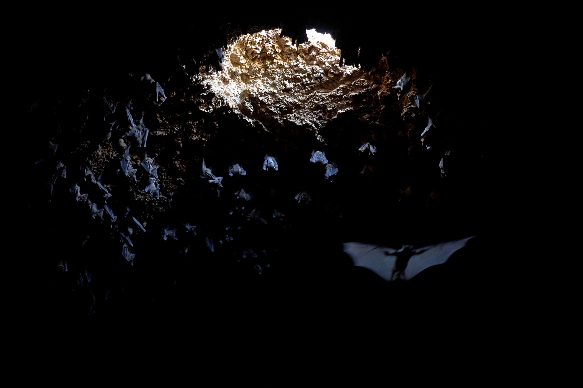 A 100,000-Year-Old Burial Site In Israel Is Changing What We Know About ...