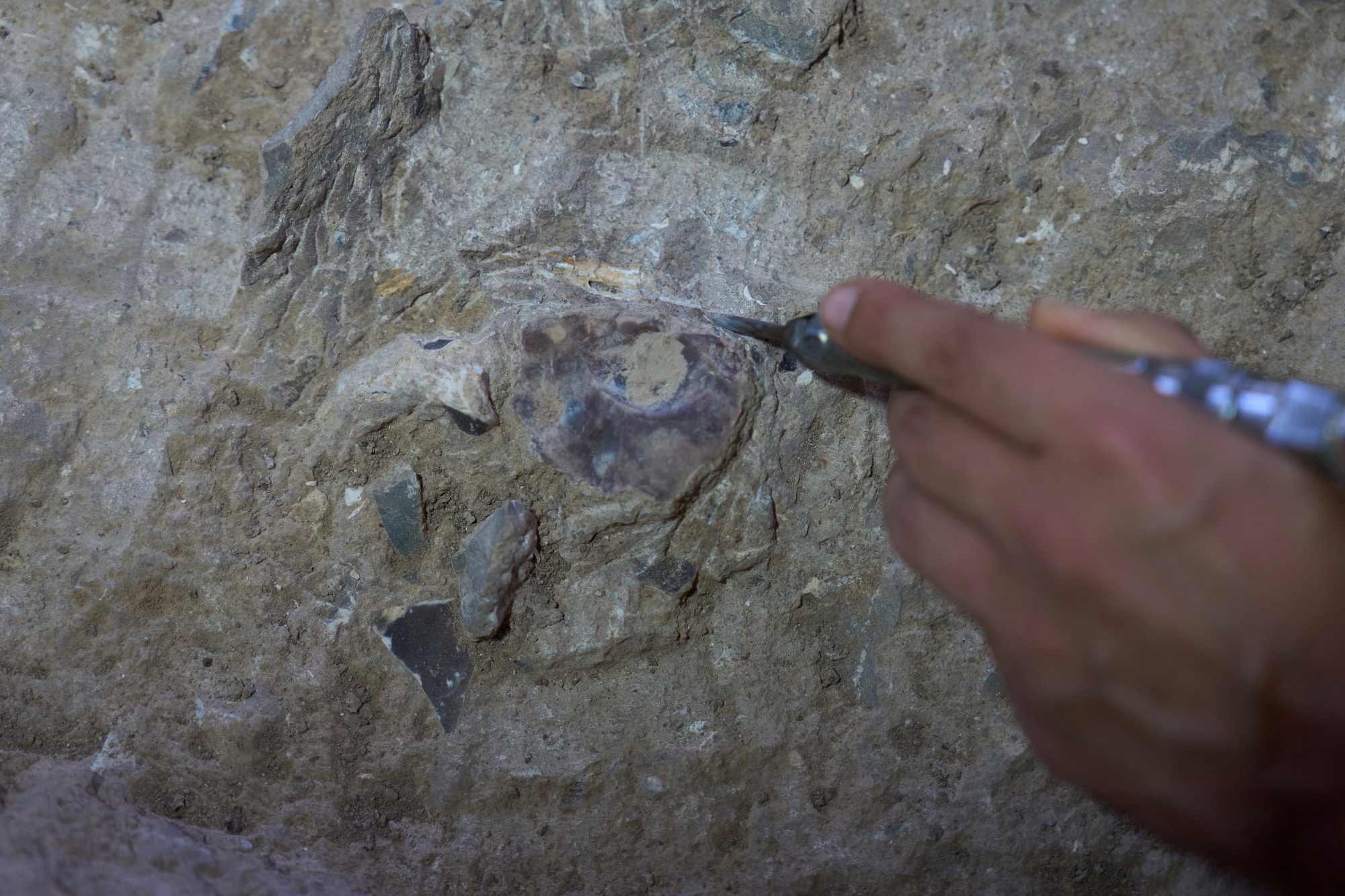 A 100,000-Year-Old Burial Site In Israel Is Changing What We Know About ...