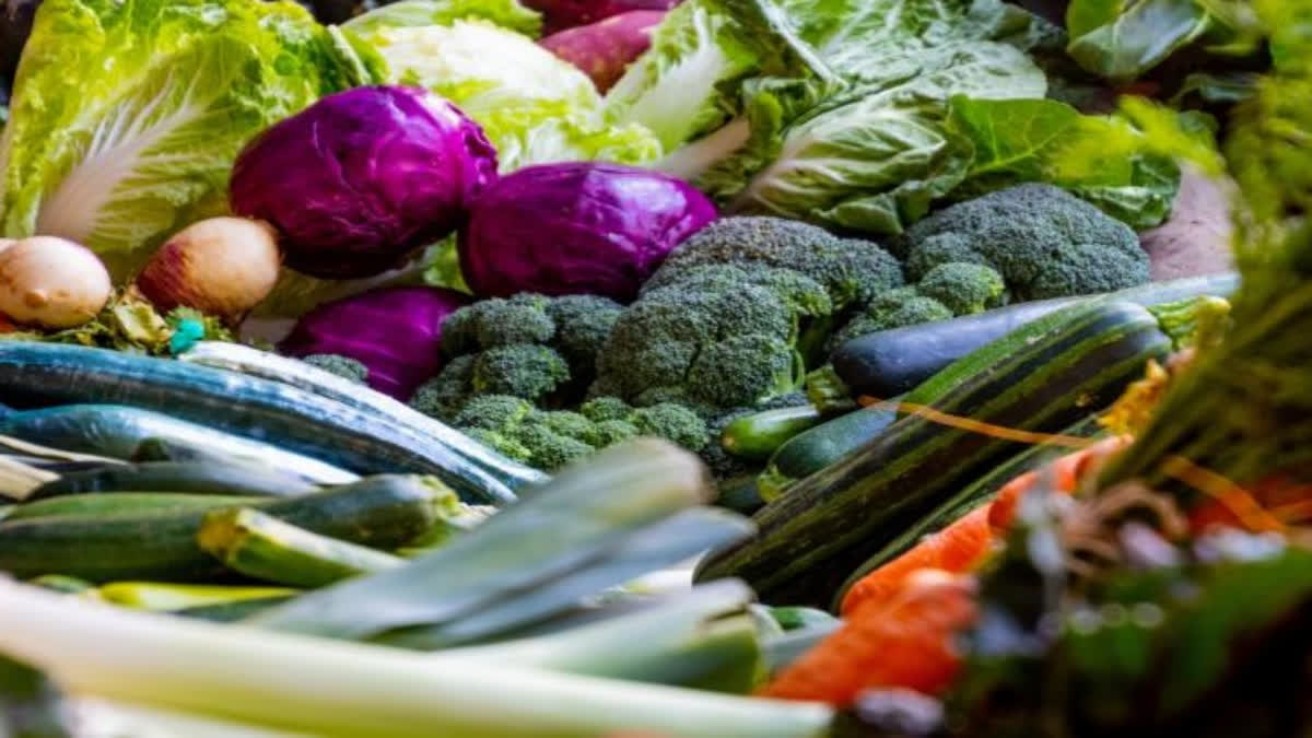 Odisha Exports 1000 Kg Fresh Vegetables To Dubai