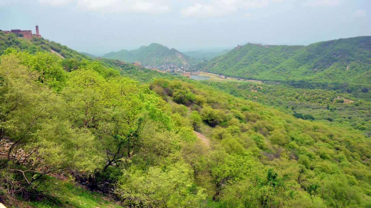 Petition Submitted To President's Office Seeks Redefinition Of Aravalli ...