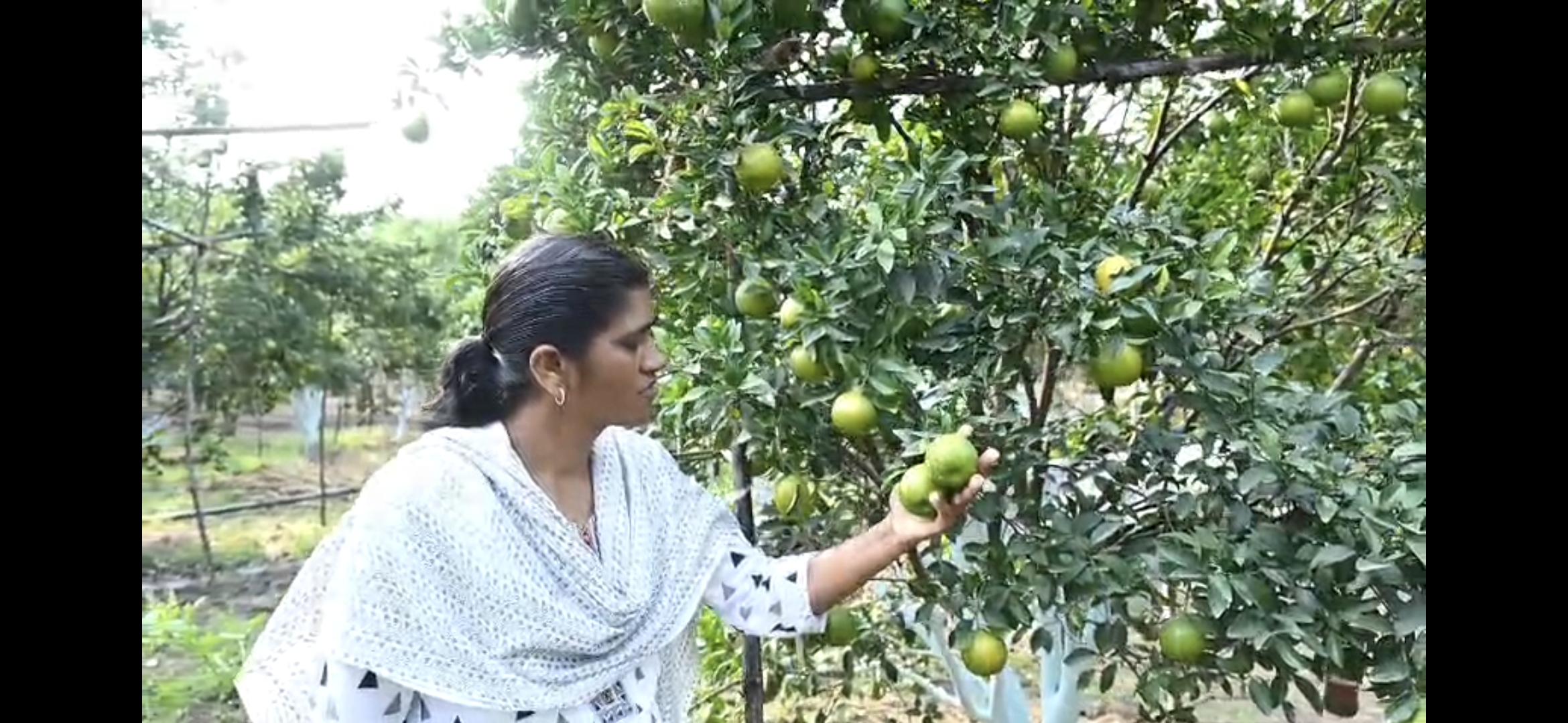 सात महिन्याची 'नकोशी' वडिलांनी दिली सोडून ; भारतीनं आजोबांच्या एकरभर ...