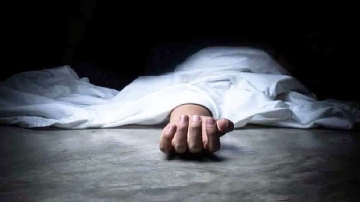 Jammu And Kashmir: Woman Killed, 12 Labourers Injured As Under ...