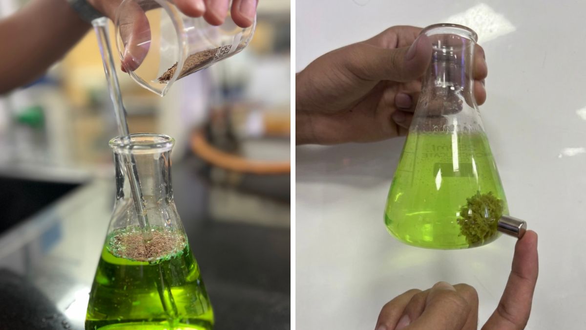 Earth Prize 2026: Indian Teenagers Bag International Recognition For ...