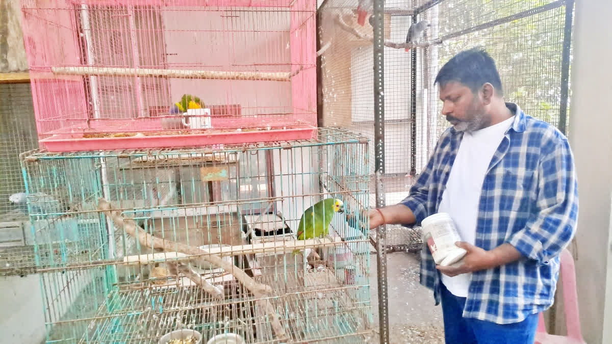 House Of Parrots: Bihar Man Turns Home Into Exotic Bird Sanctuary Worth ...
