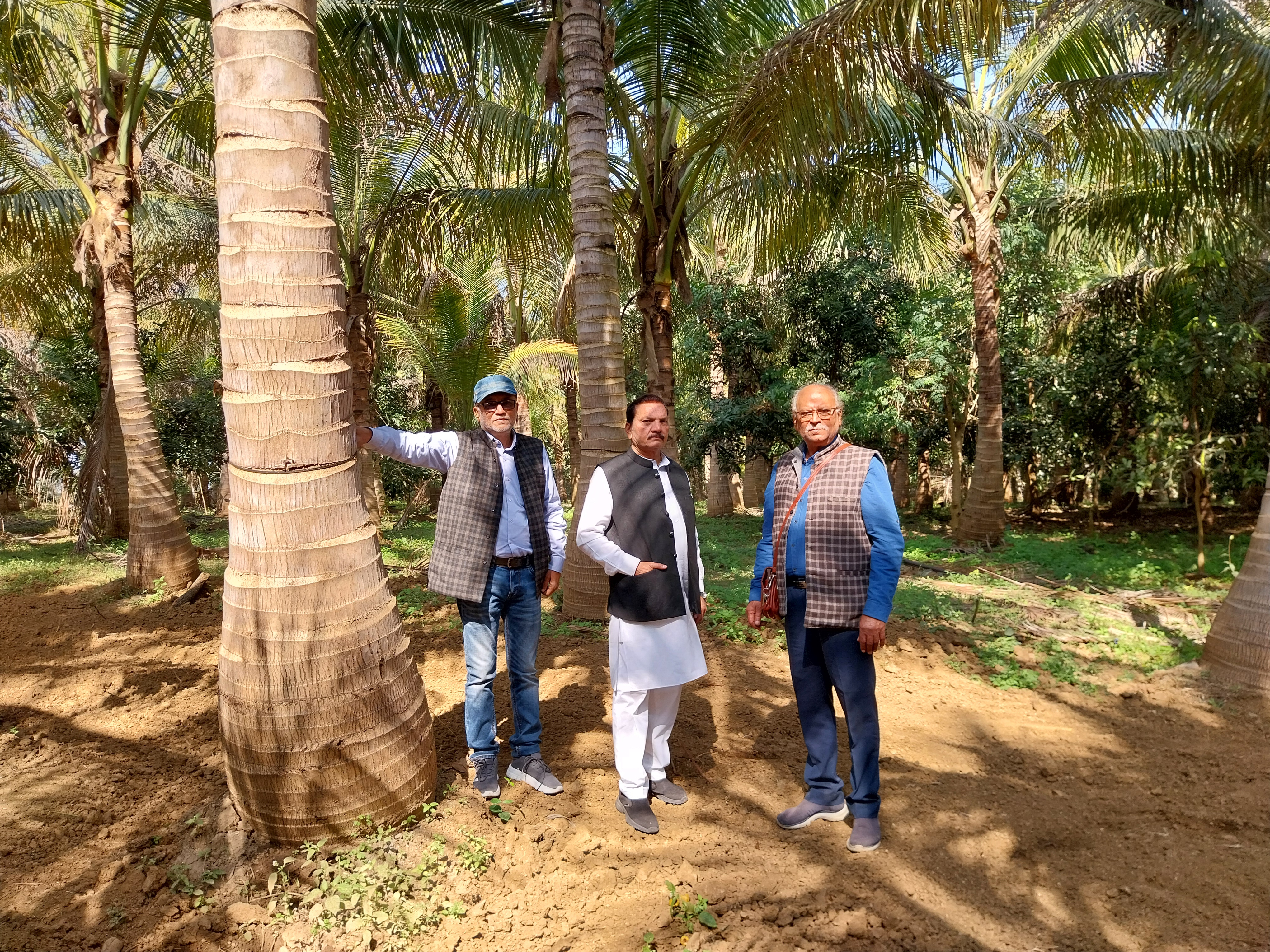 नर्मदा किनारे 2000 नारियल पेड़ों से किसानों का करोड़ों का फल साम्राज्य ...