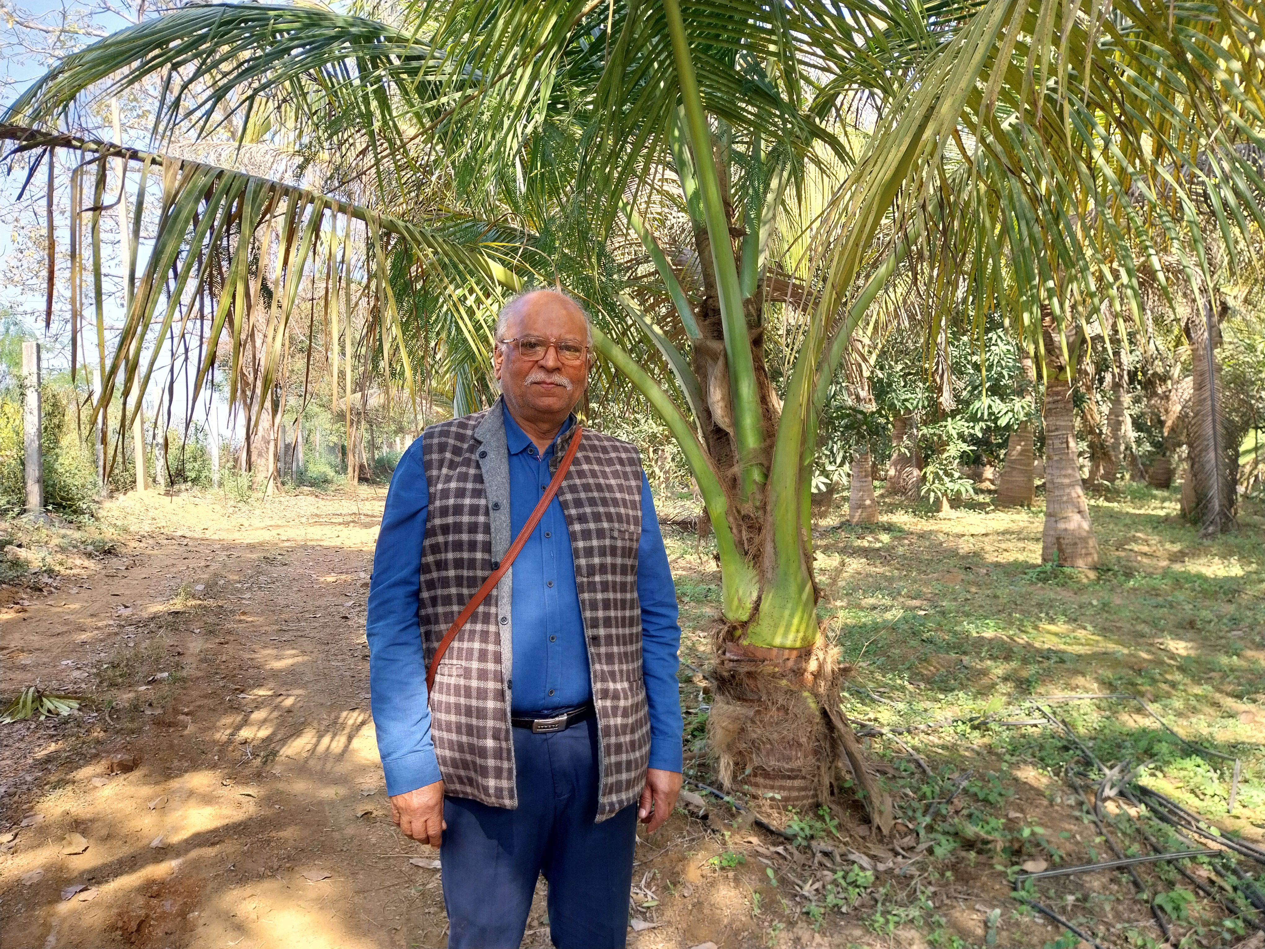 नर्मदा किनारे 2000 नारियल पेड़ों से किसानों का करोड़ों का फल साम्राज्य ...