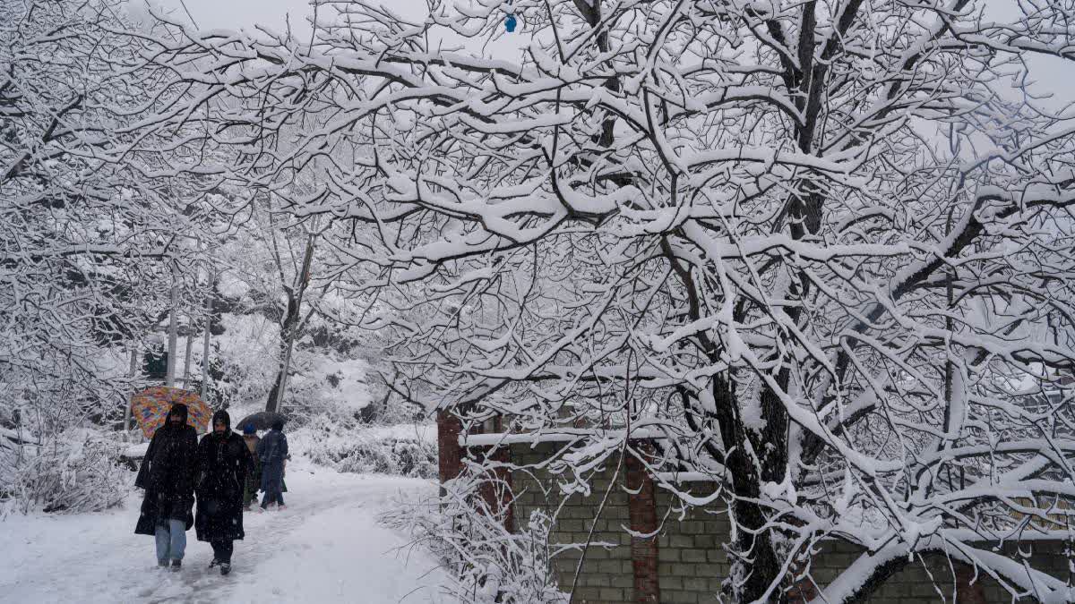Fresh Snowfall Ends Three Months' Dry Spell In J& Tourism Sector Upbeat ...