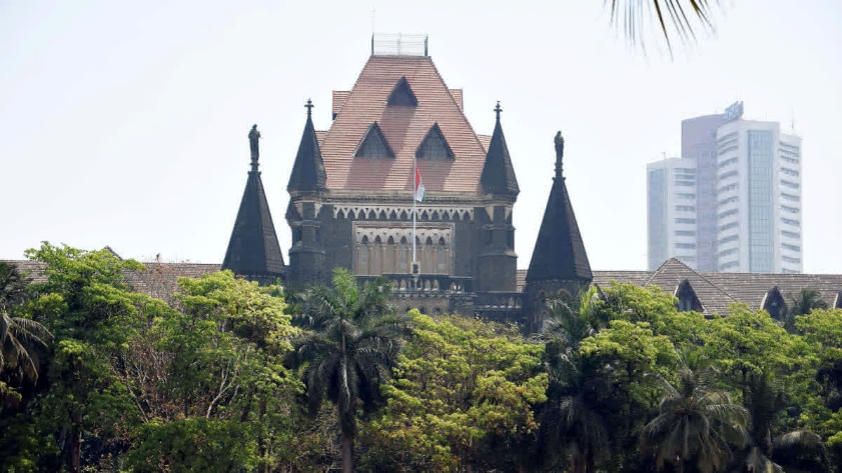 'Harsh Words' Not Enough, Economic Impact Of Air Pollution Needs To Be ...