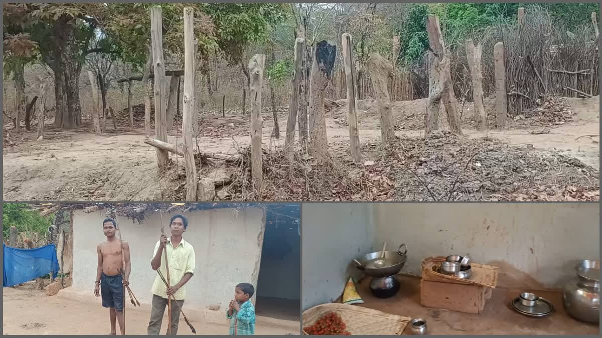 Pahadi Korwas Abandon Their Houses, Migrate to Other Places after Death ...